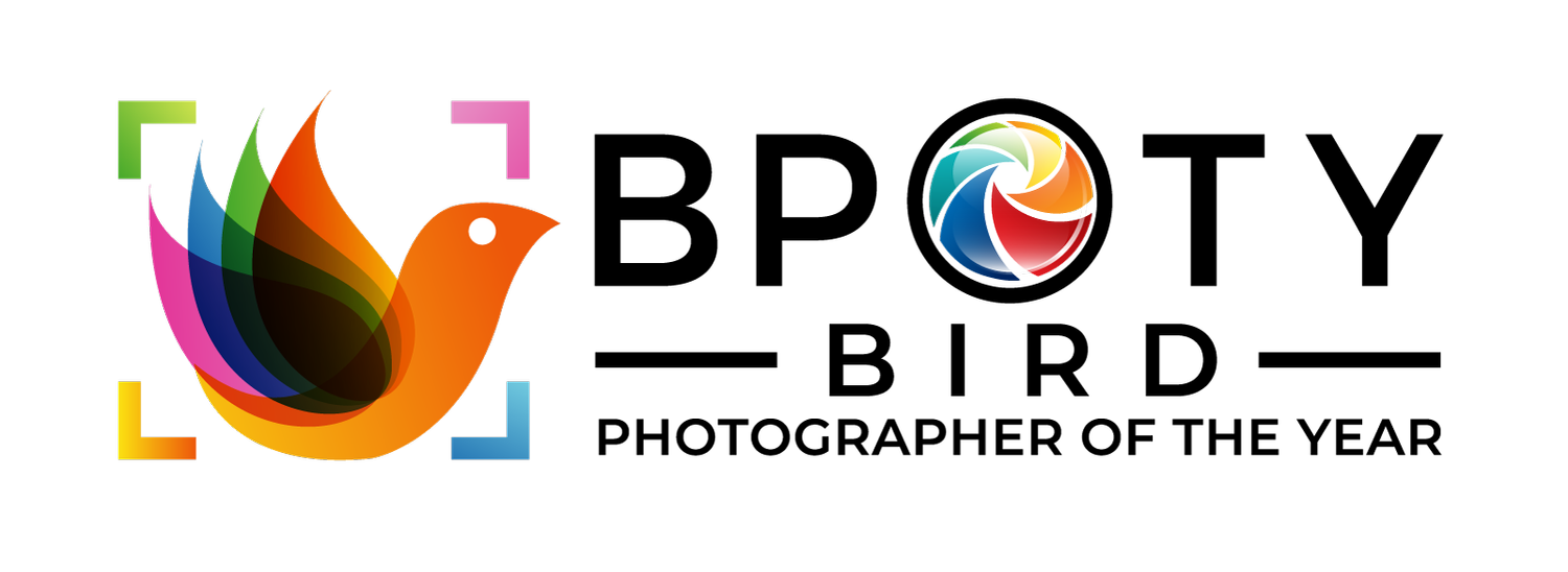 View the Bird Photographer of the Year 2022 Winners — Bird Photographer ...