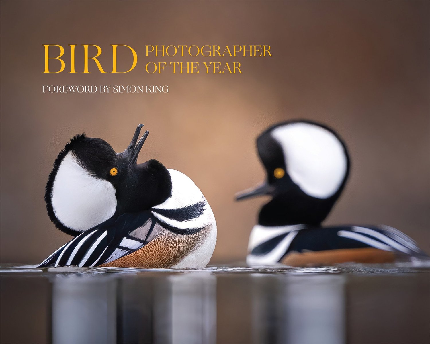 Bird Photographer of the Year - International Wildlife Photography ...