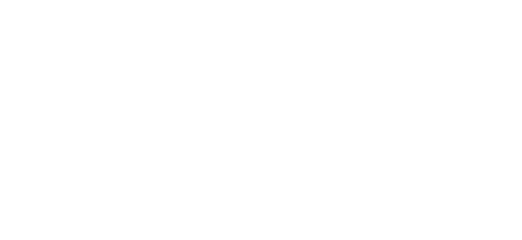 Invex LLC - Invex LLC