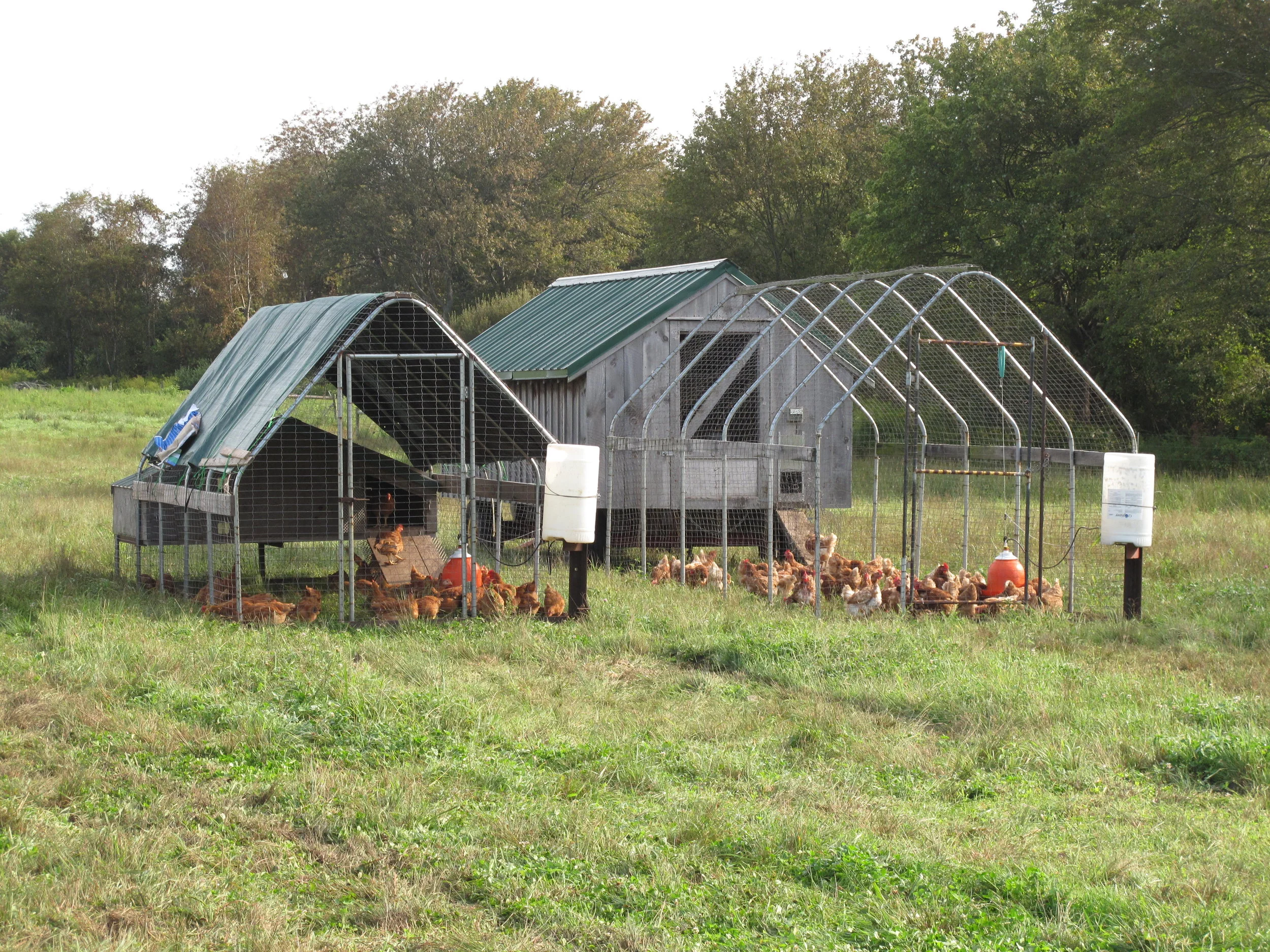 Aquidneck Farms