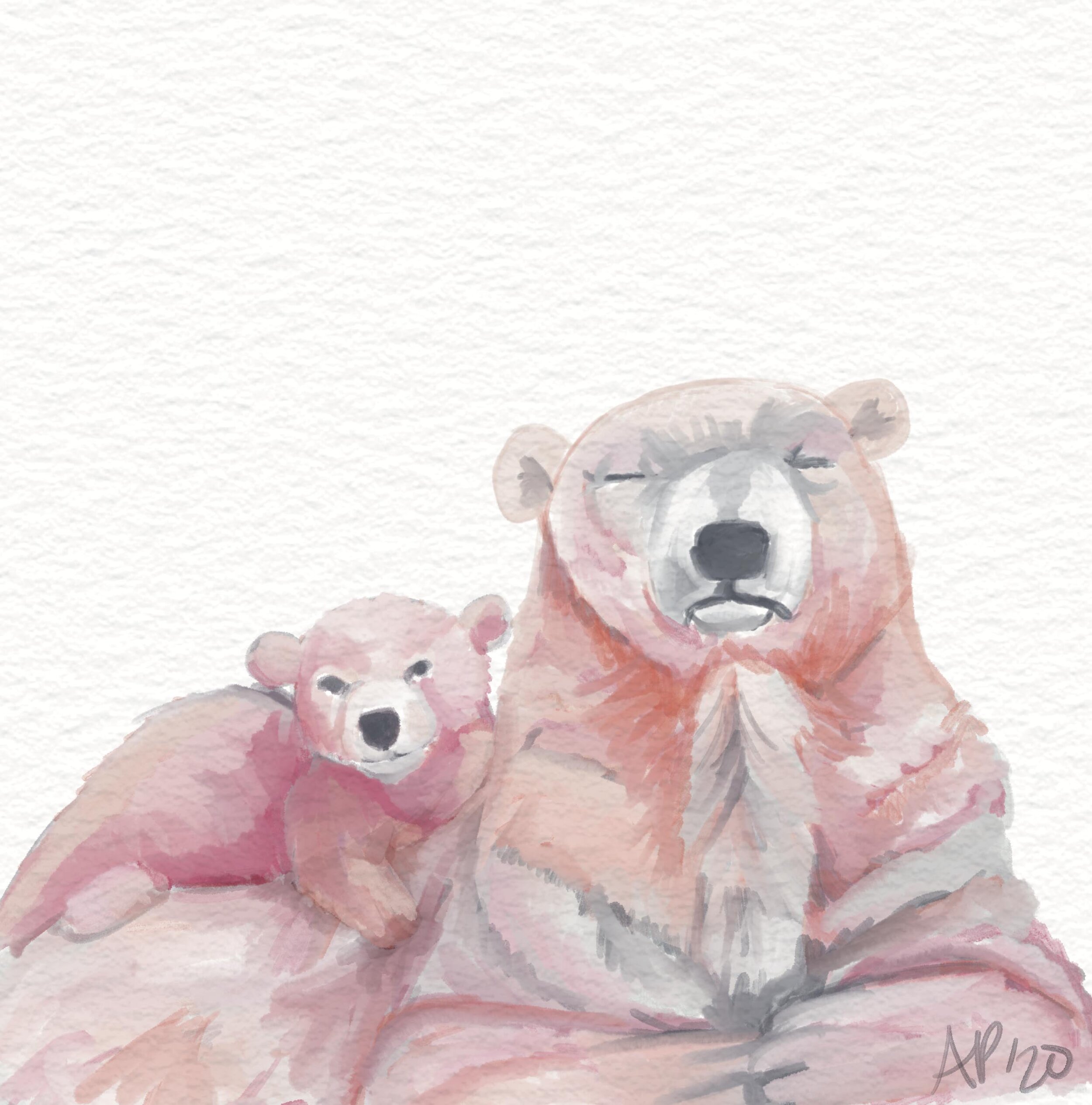 Meet: Amanda — Studio Light Illustration