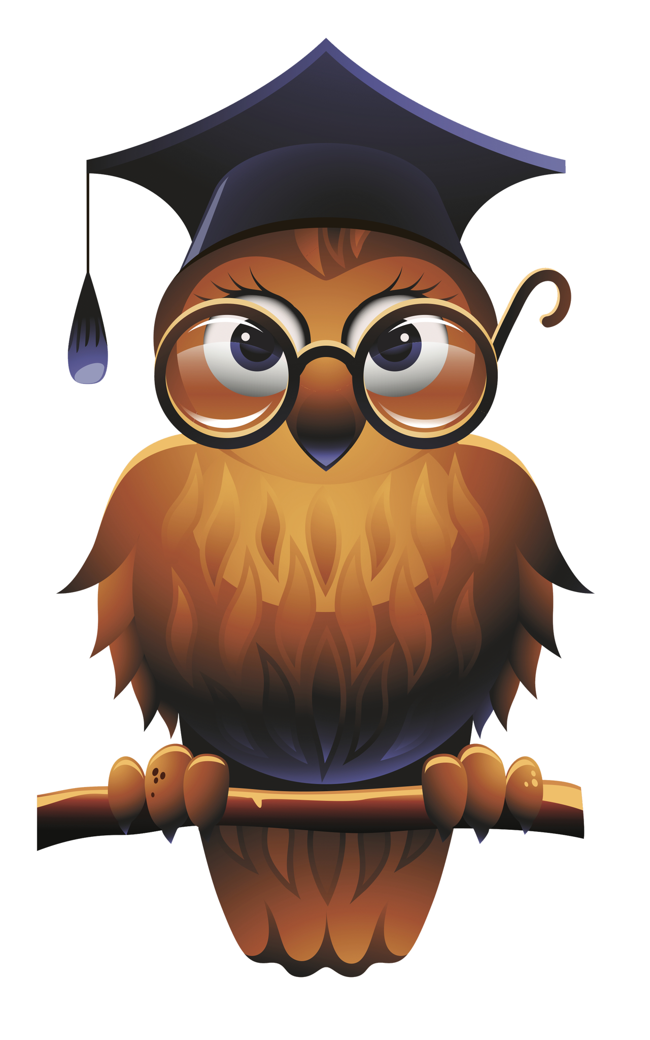 Thinking Brain: The Wise Owl — The Behavior Hub