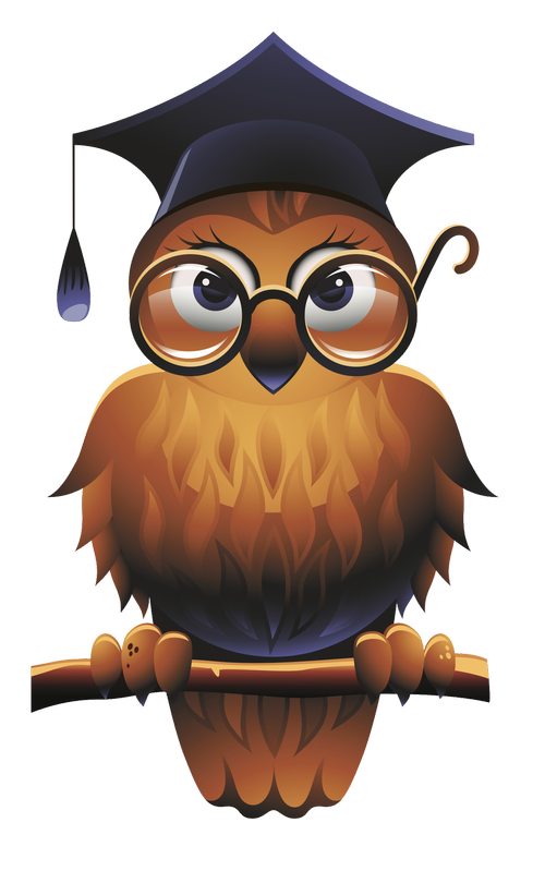 Thinking Brain: The Wise Owl — The Behavior Hub