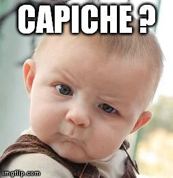 Thinking Brain: The Wise Owl — The Behavior Hub