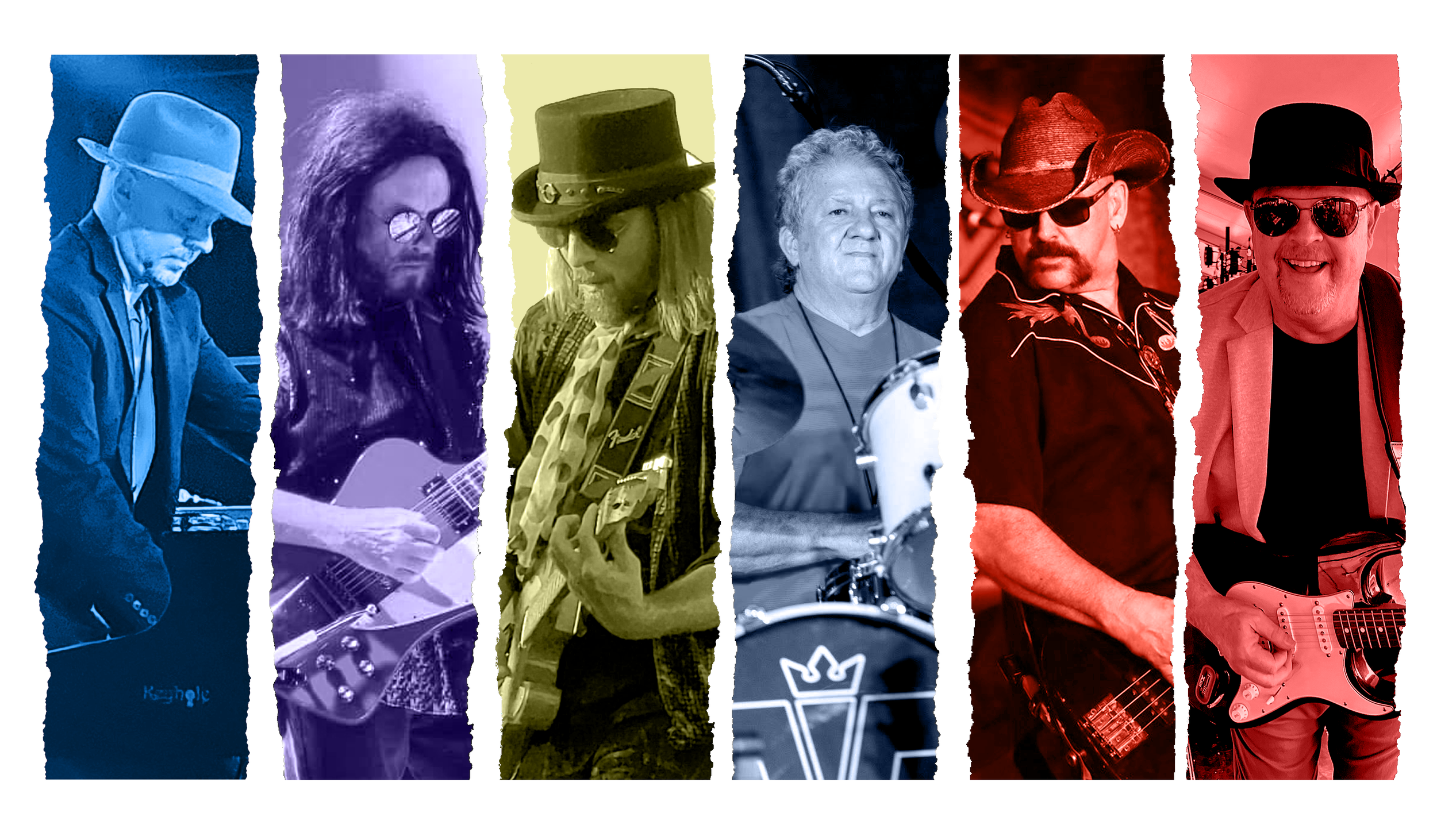 Free Fallin A Tribute to Tom Petty