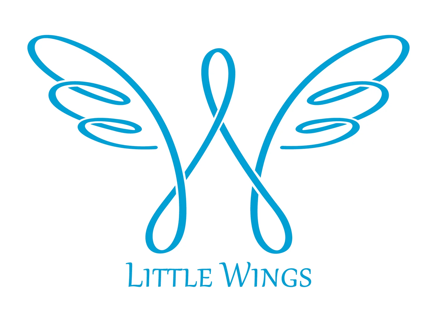 Little Wings