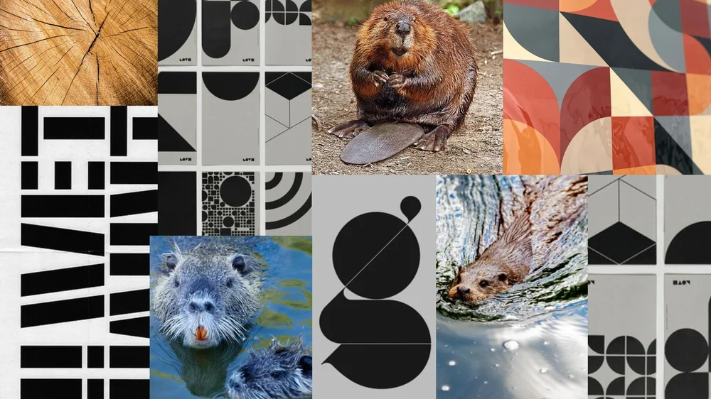 Beaver XP: Building Experiences for Brands — TakeThree Studio