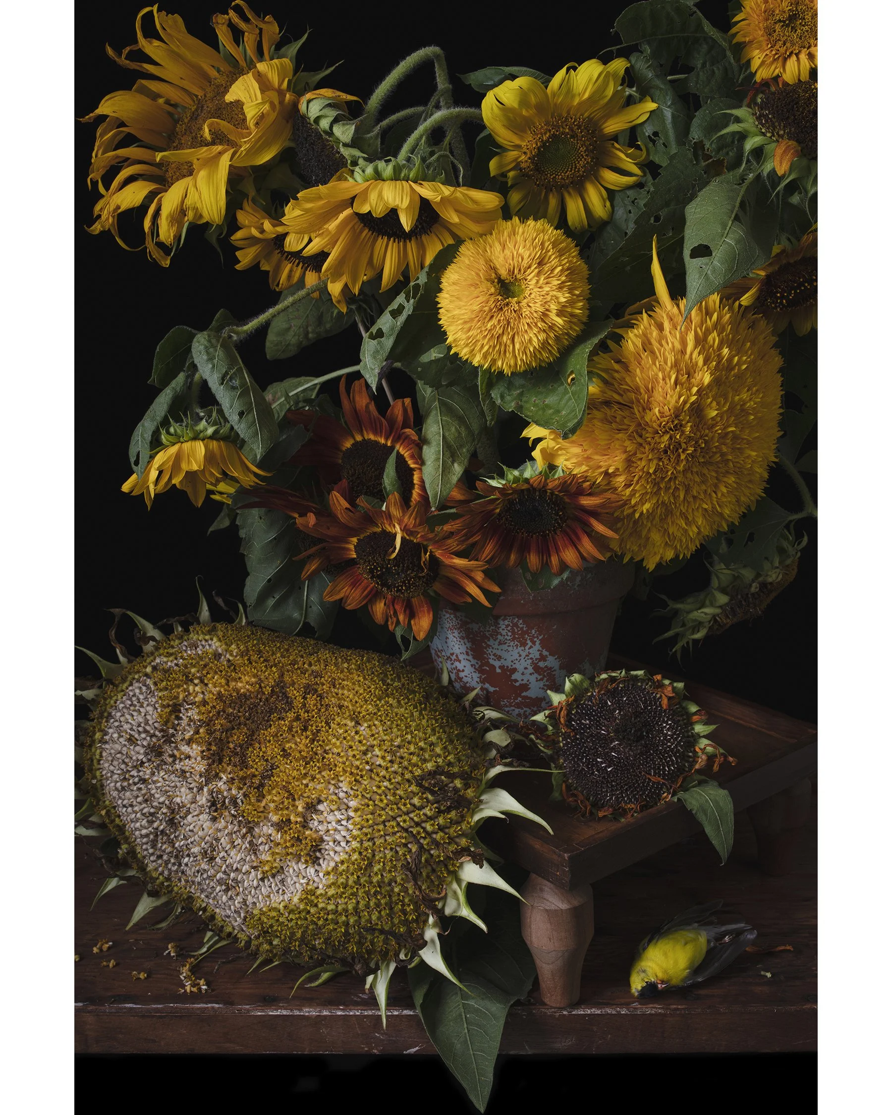 Exhibitions and Workshops — Kimberly Witham