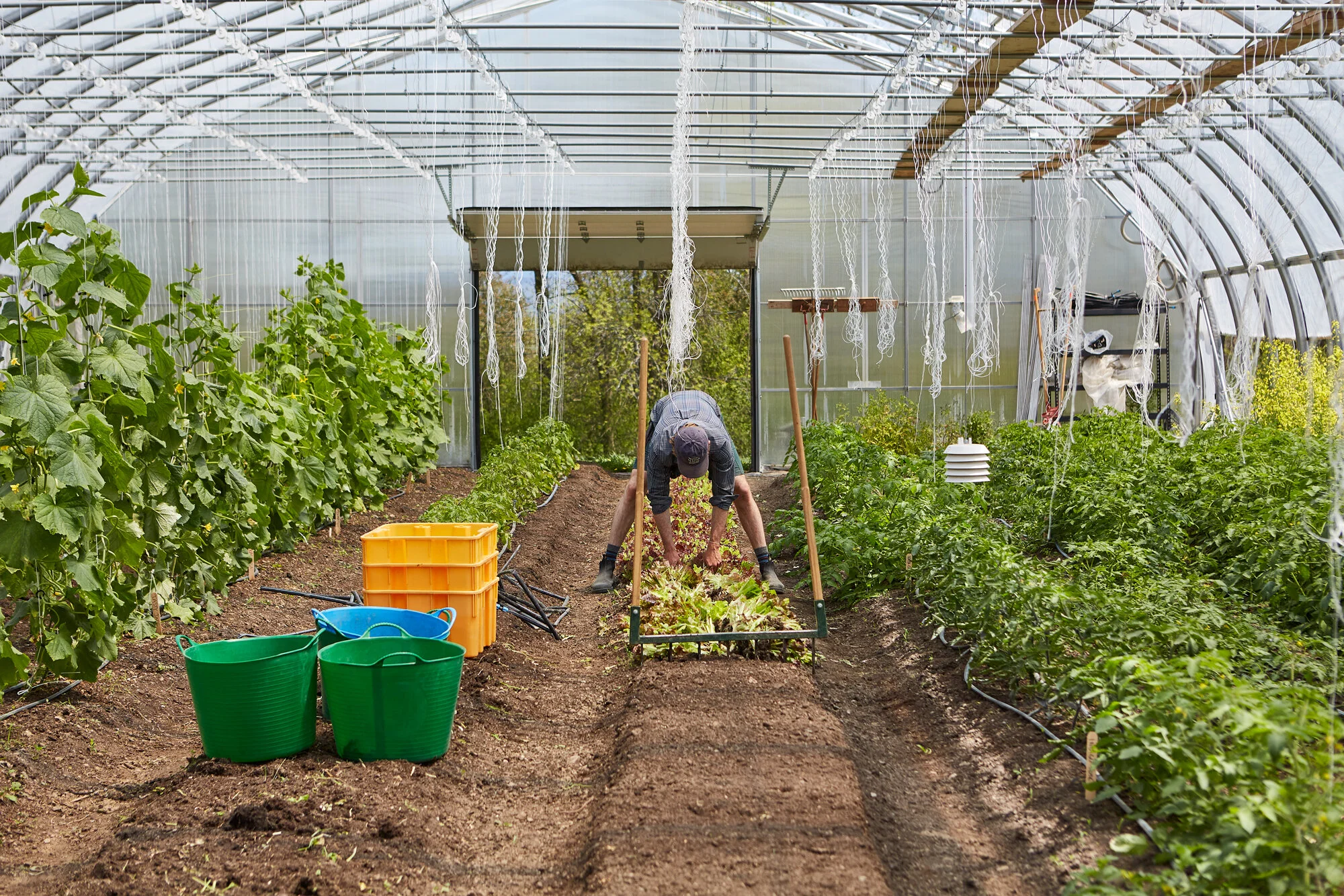 Organic Farming — Philo Ridge Farm