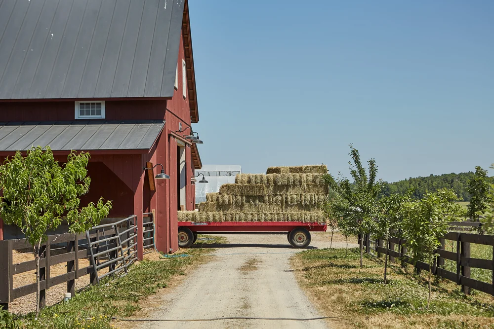 Contact Us — Philo Ridge Farm