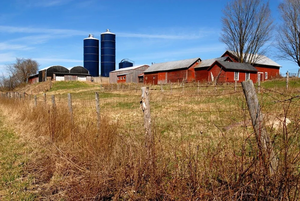 Farm History — Philo Ridge Farm