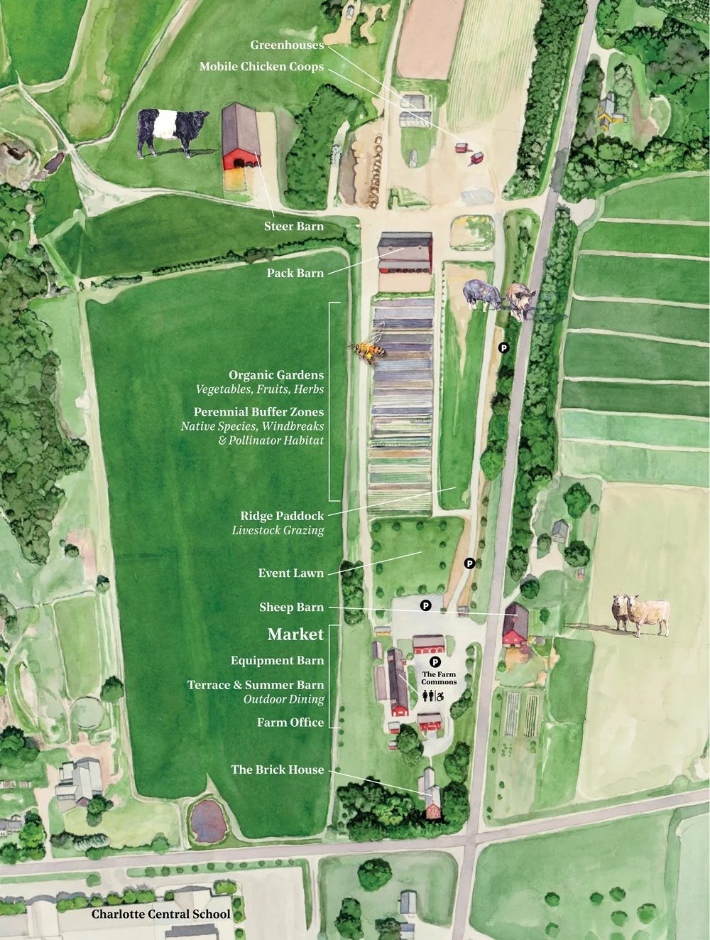 Plan Your Visit — Philo Ridge Farm