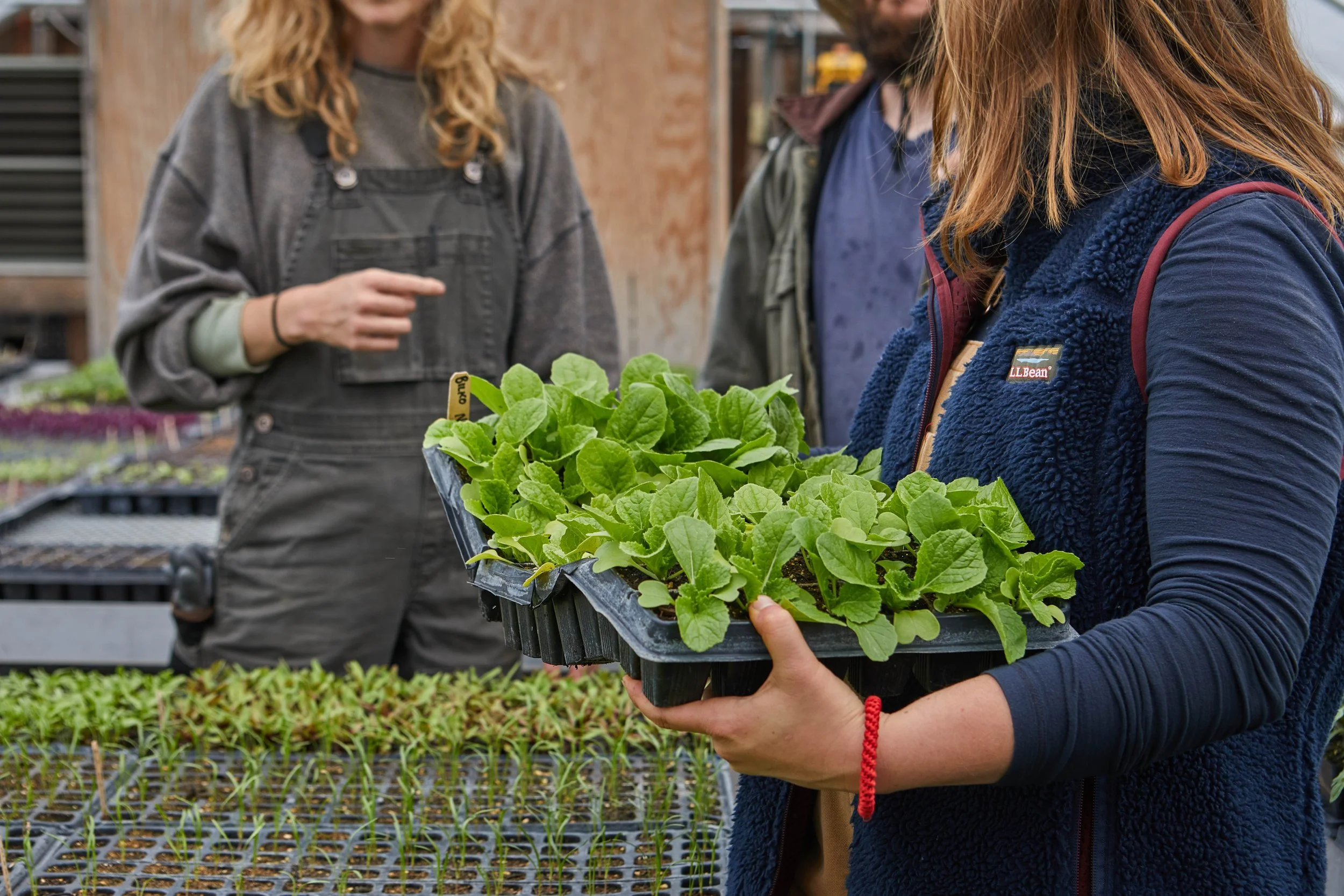 Plan Your Visit — Philo Ridge Farm