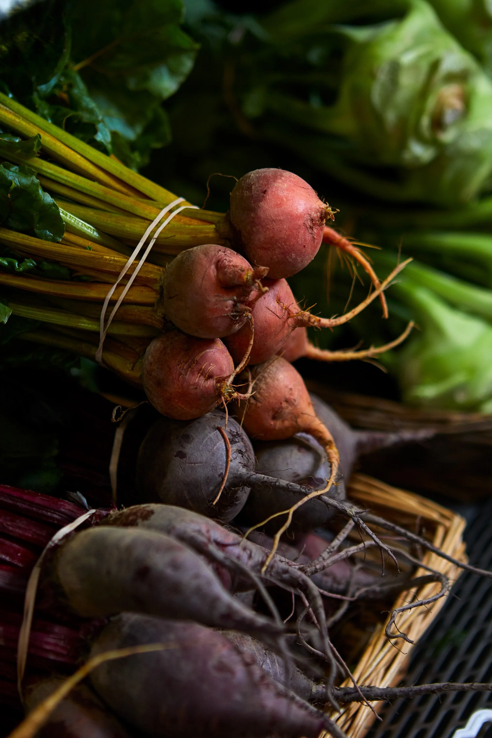 Plan Your Visit — Philo Ridge Farm