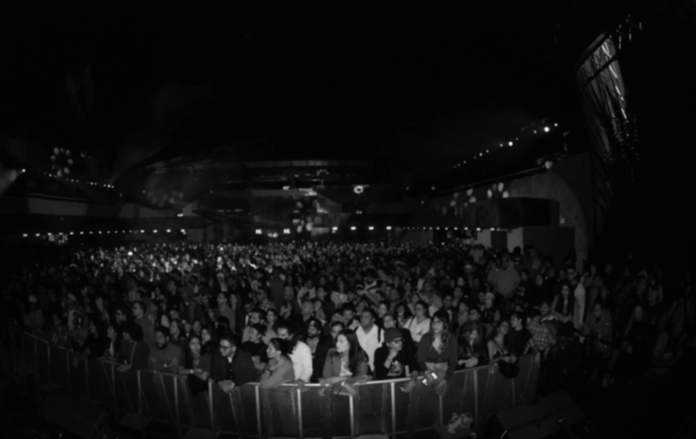 SunDub // Official Website