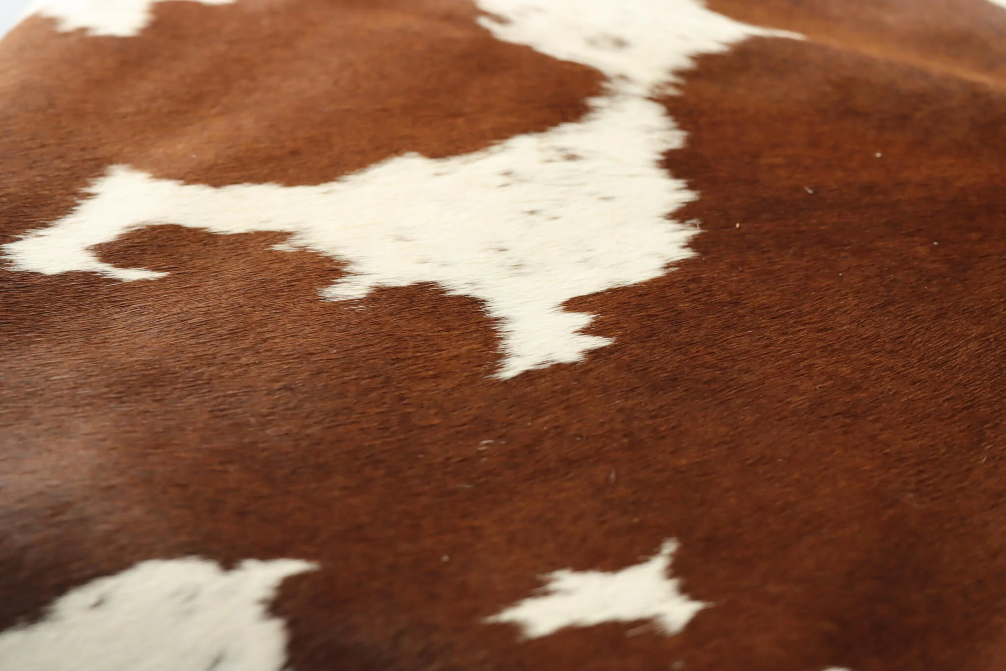 Hair-on-Hide Upholstery Leather, Rug Leather | The Tannery Row ...
