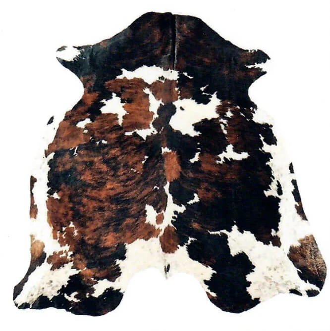 Hair-on-Hide Upholstery Leather, Rug Leather | The Tannery Row ...