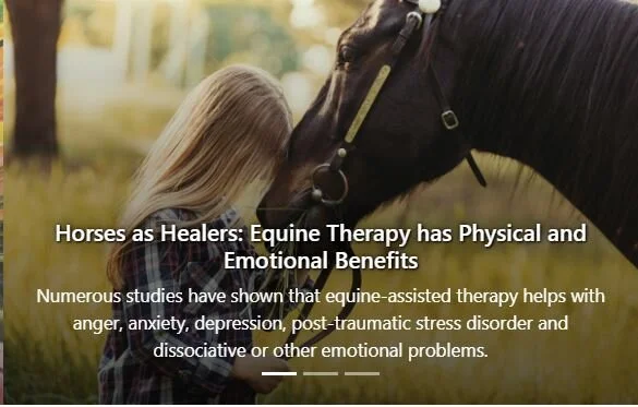 Press — New Day Equine Therapy
