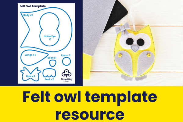 Girlguiding Cymru activity resources