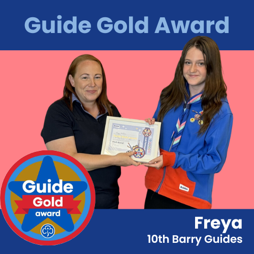 Guide Gold Award Gallery