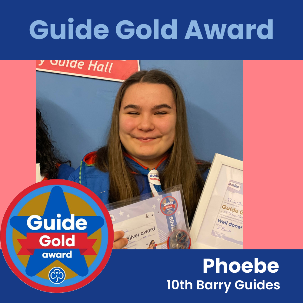 Guide Gold Award Gallery