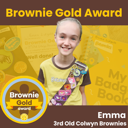 Brownie Gold Award Gallery