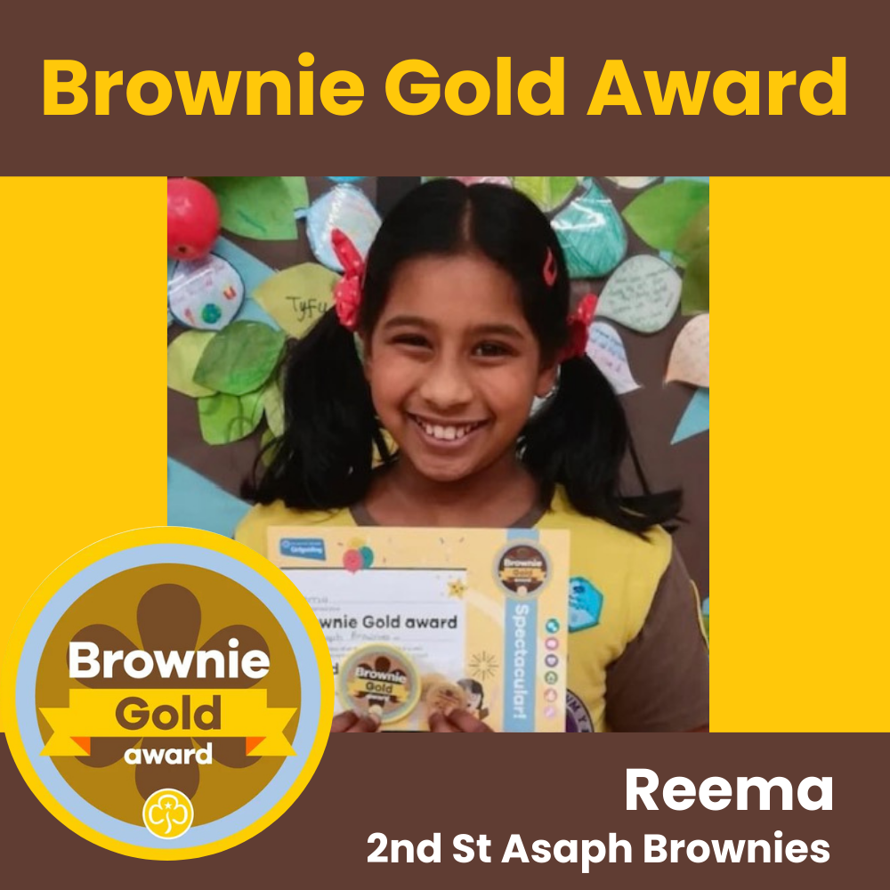 Brownie Gold Award Gallery