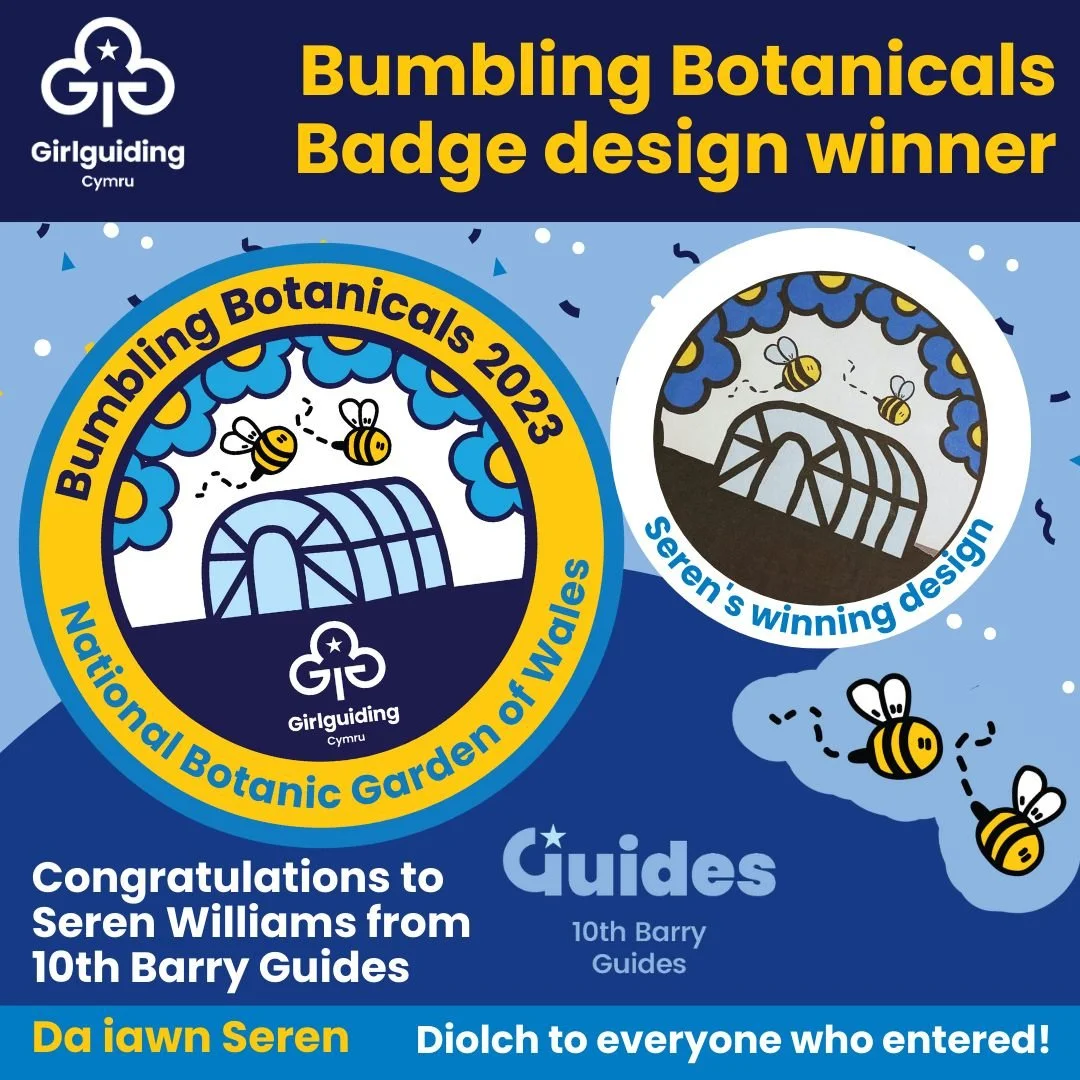 Badge Design Competition