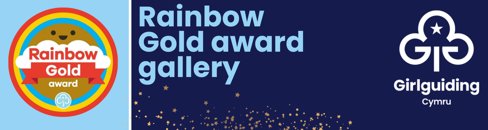 Rainbow Gold Award Gallery