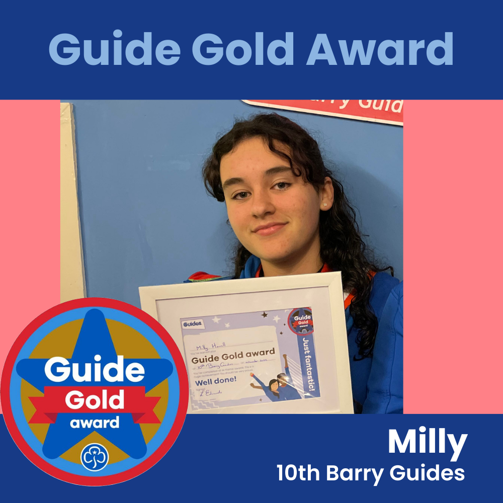 Guide Gold Award Gallery