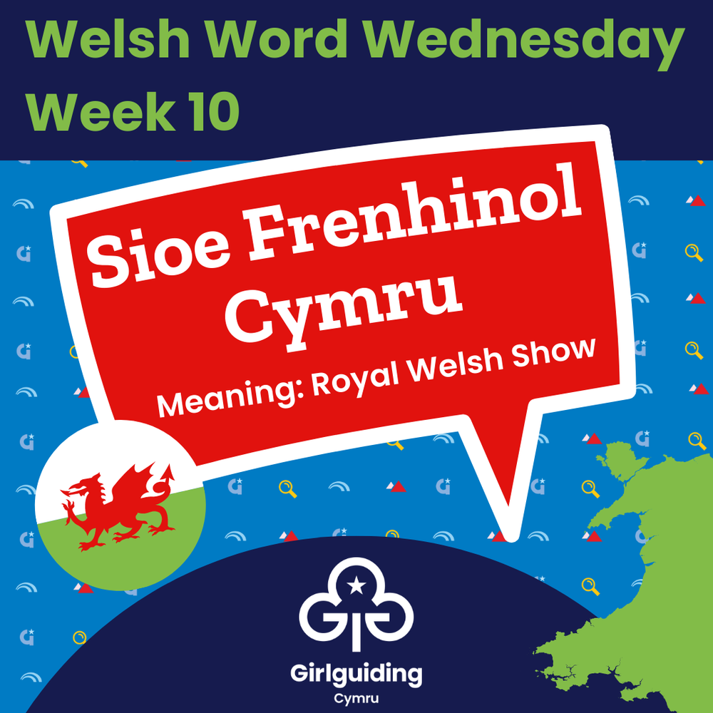 Welsh word Wednesday
