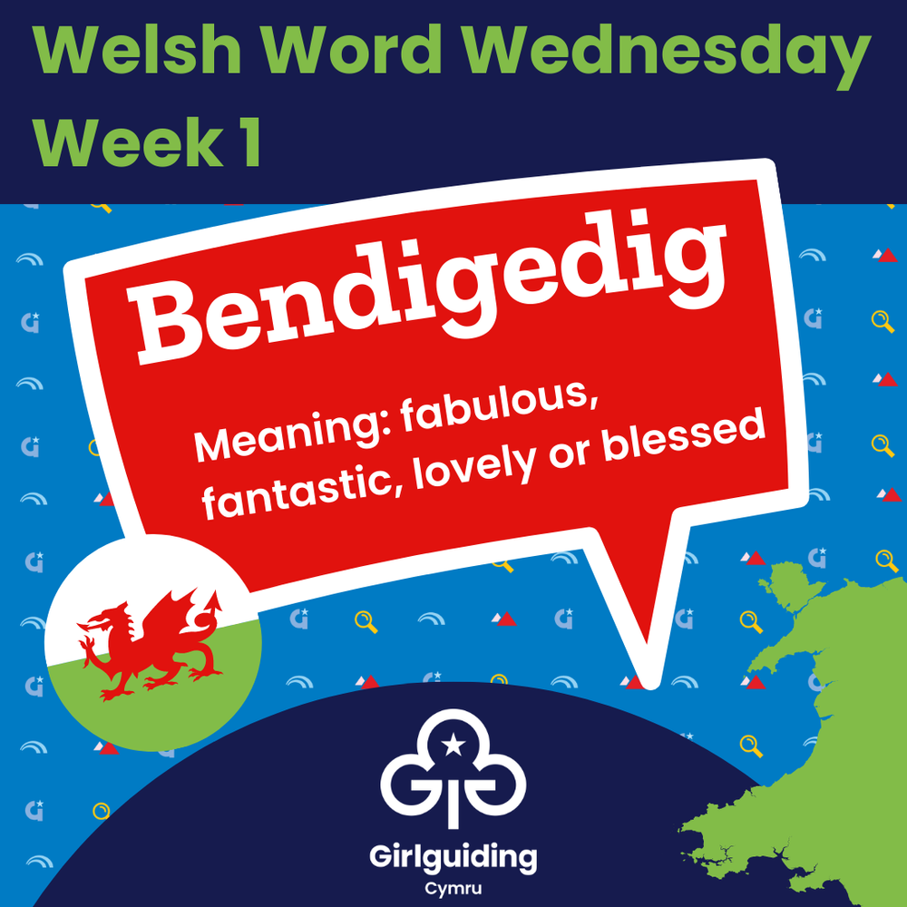 Welsh word Wednesday