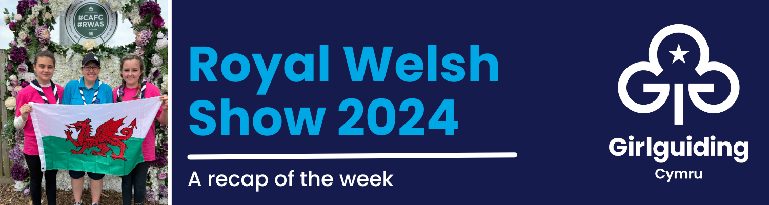 RWAS 2024 report