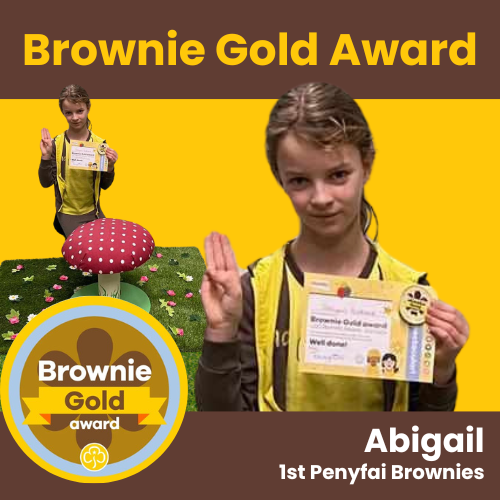 Brownie Gold Award Gallery