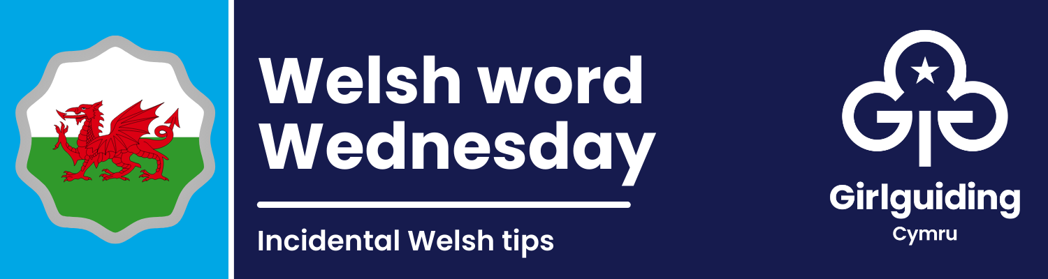 Welsh word Wednesday
