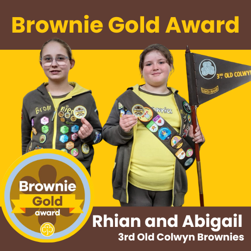 Brownie Gold Award Gallery