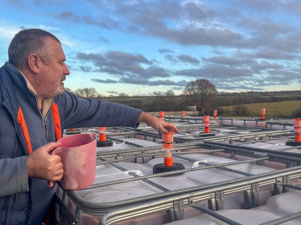 From Branch to Bottle: How Cider Matures During Winter | Napton Cidery ...