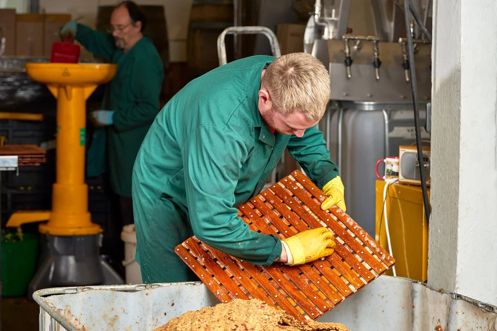 2025 Cider Harvrest: Craft Flavour at Napton Cidery | Napton Cidery ...