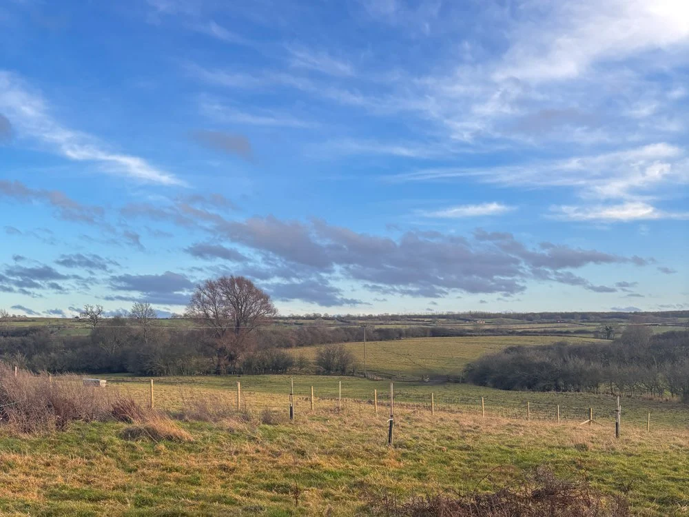 From Branch to Bottle: How Cider Matures During Winter | Napton Cidery ...