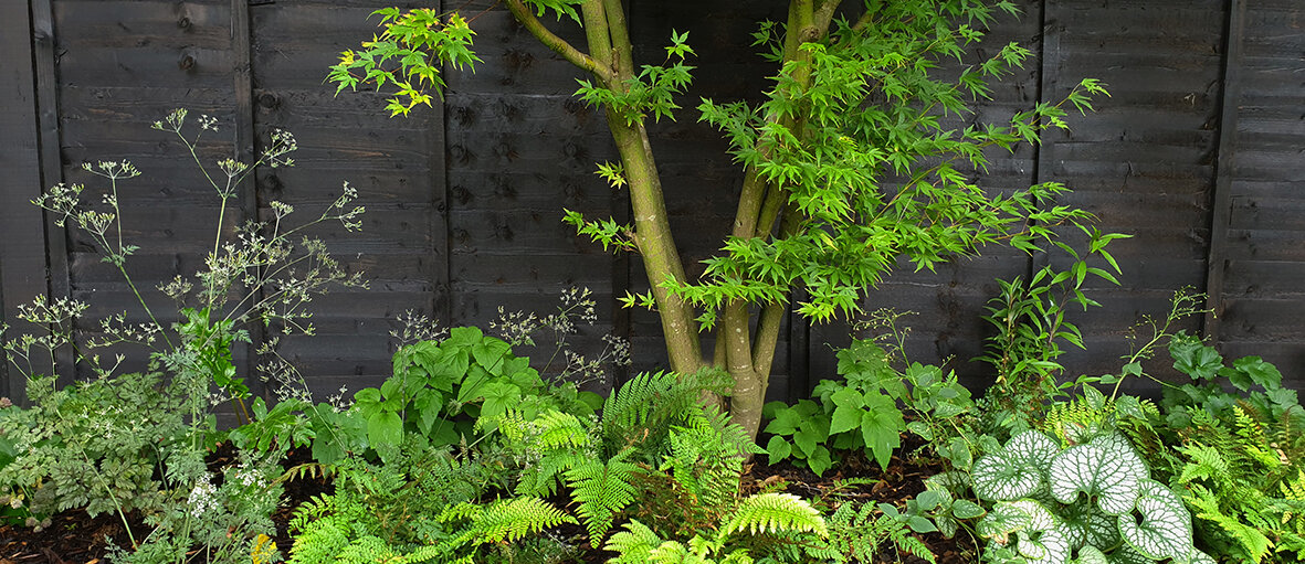 New Enclosure Landscape Architecture