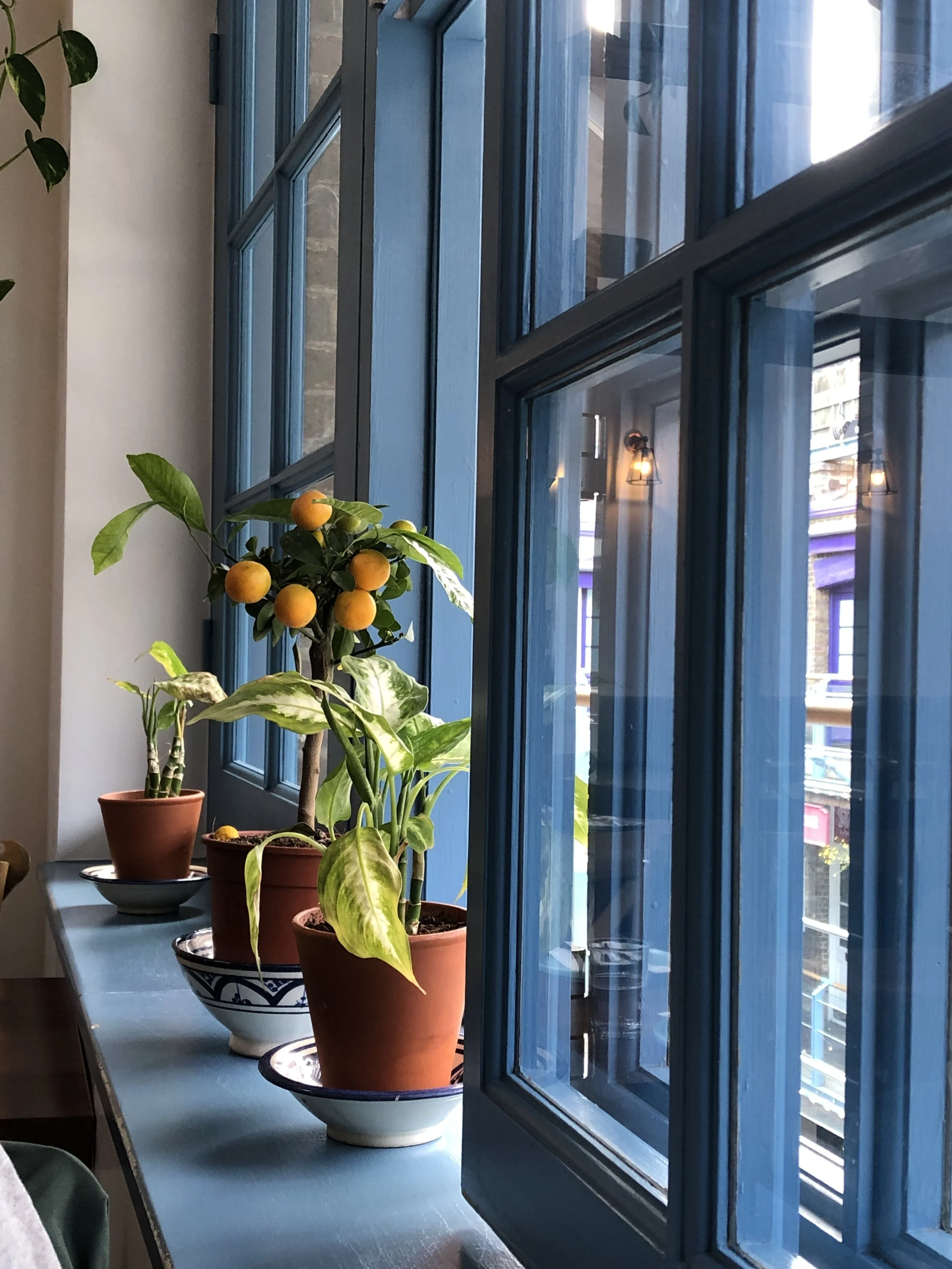 Imad's Syrian Kitchen review | Middle-Eastern restaurant in London