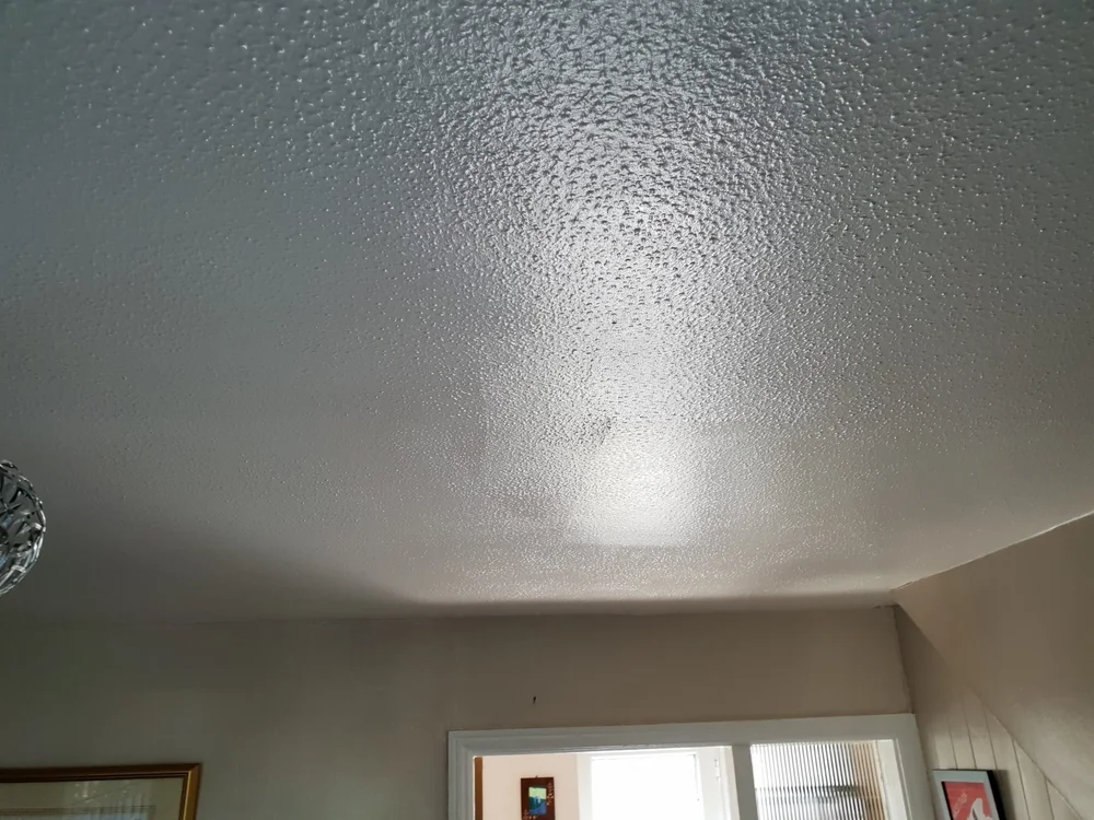 Artex Ceiling Safety | Shelly Lighting