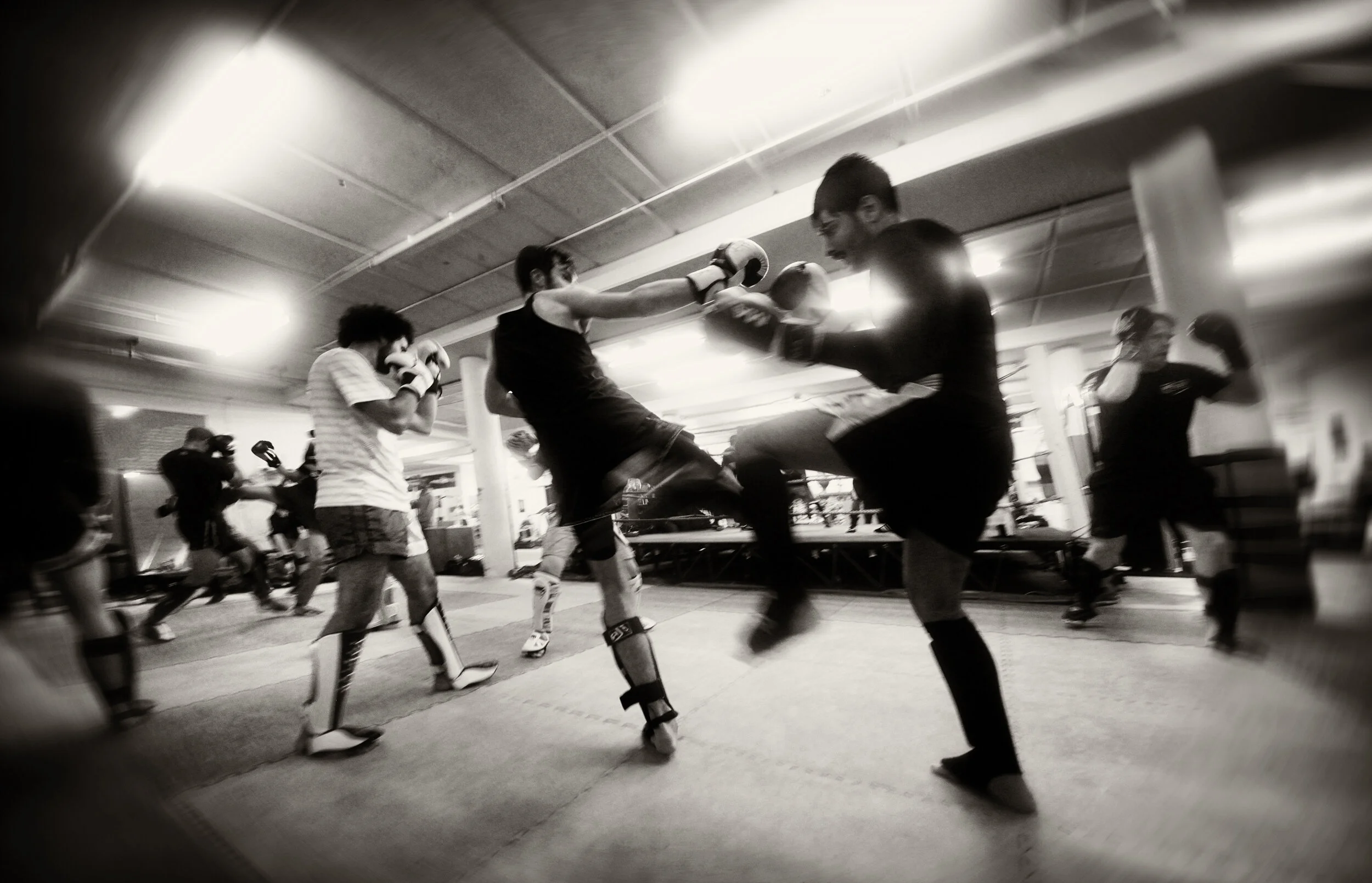 Brighton Boxing — Jerry Webb