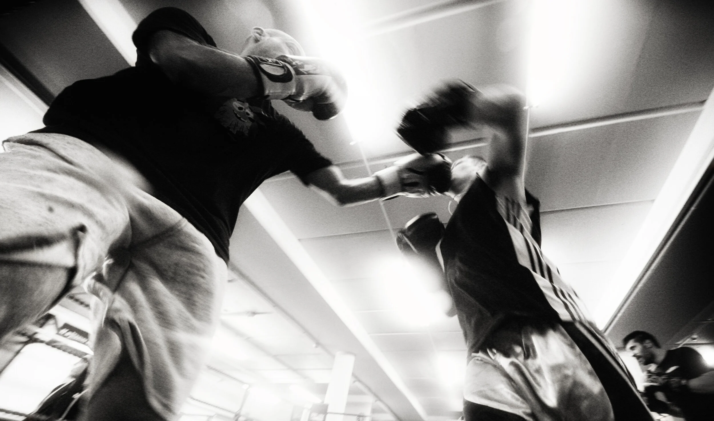 Brighton Boxing — Jerry Webb