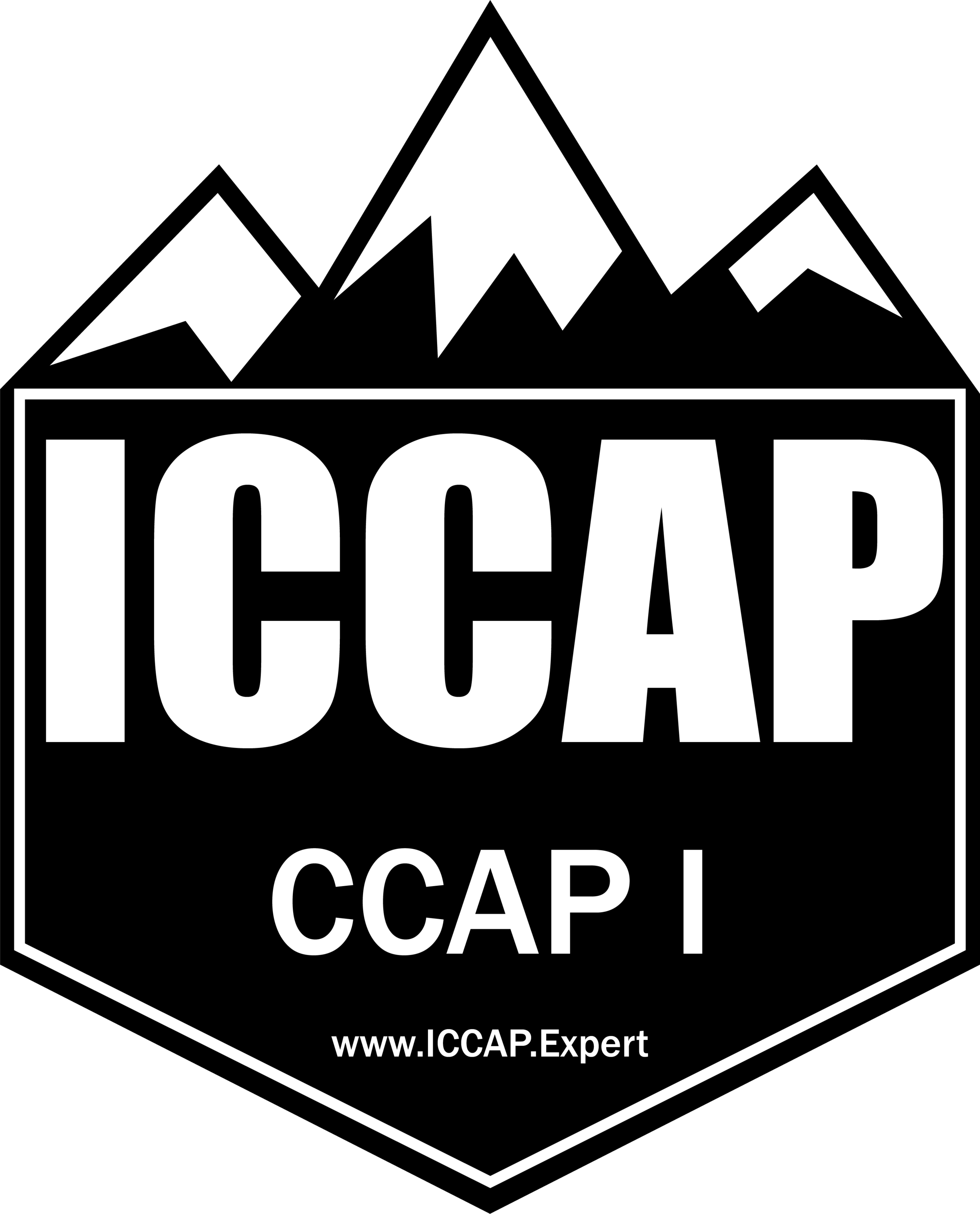 Certifications — ICCAP - Institute of Certified Customer Advocacy Professionals