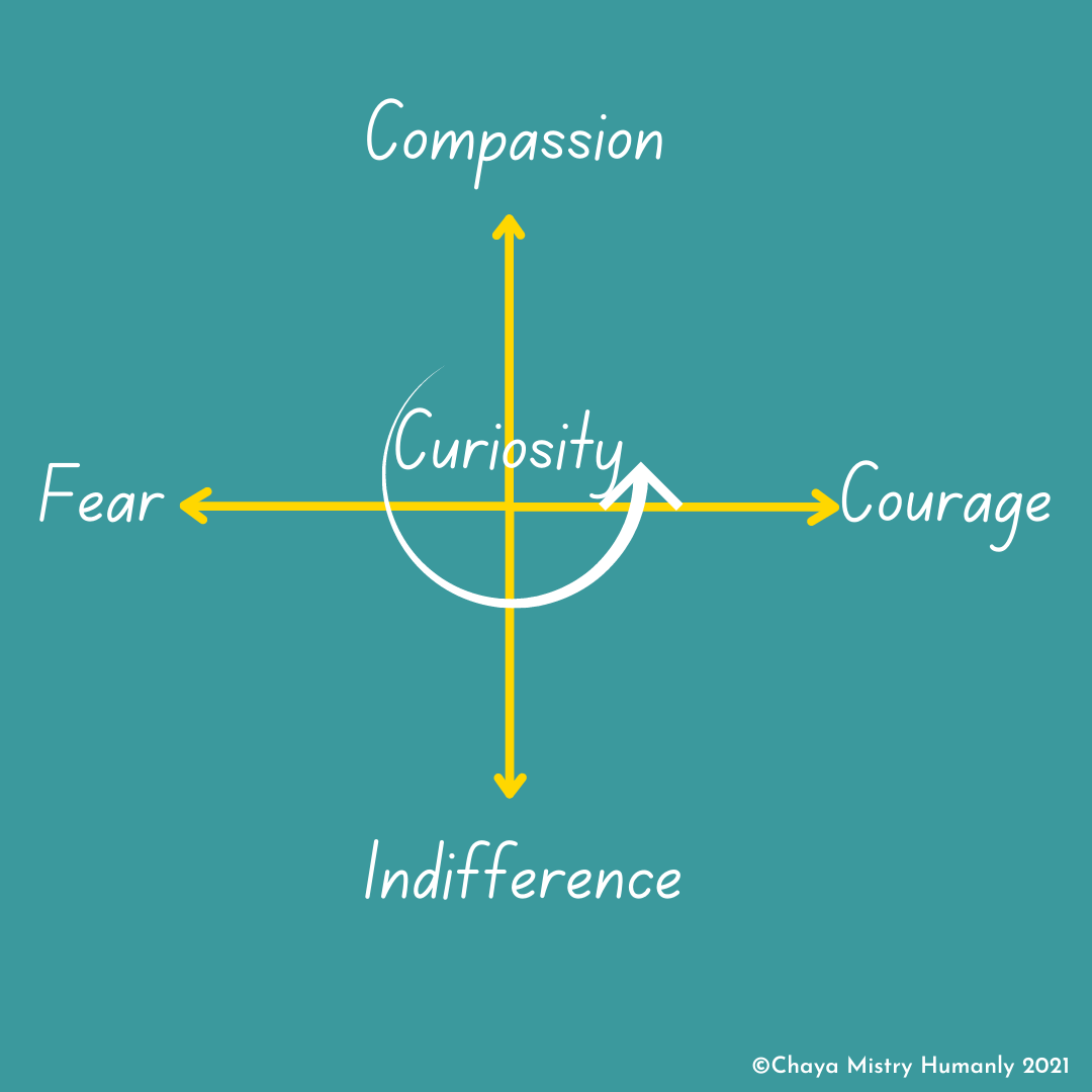 Curiosity, Compassion and Courage for an Inclusive Culture — HUMANLY