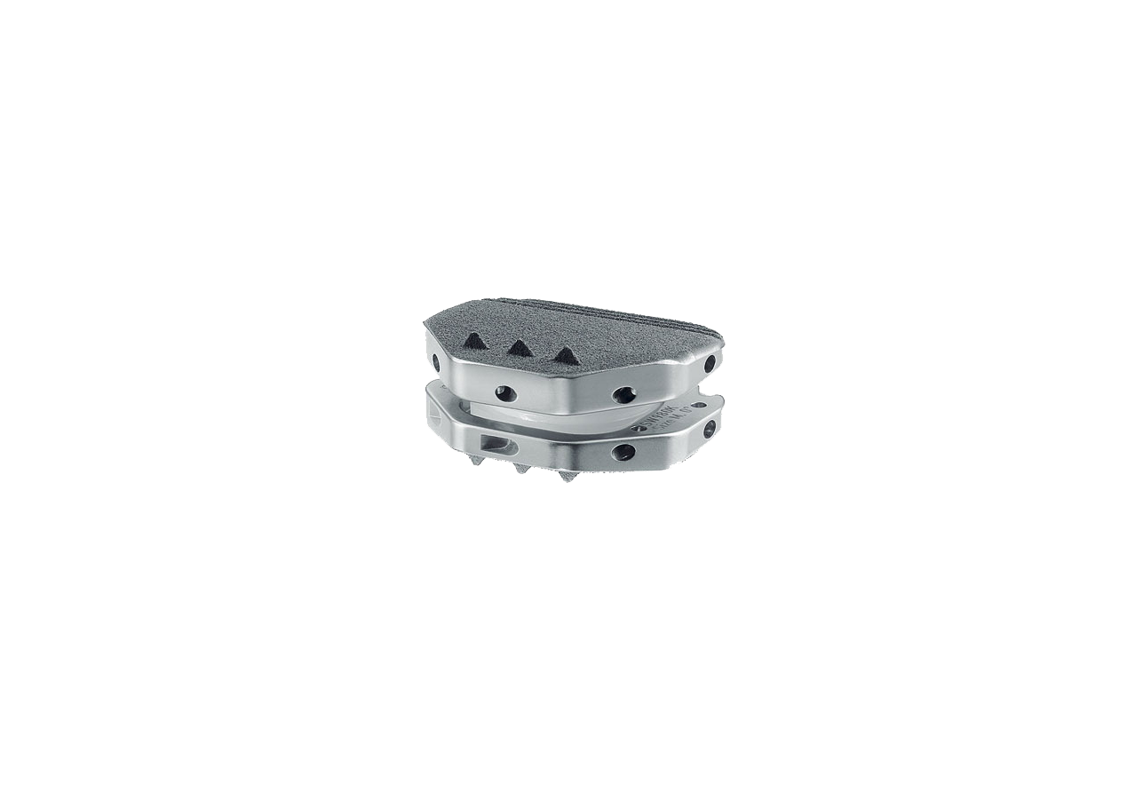 ActivL Lumbar Disc — Polin Neurosurgery