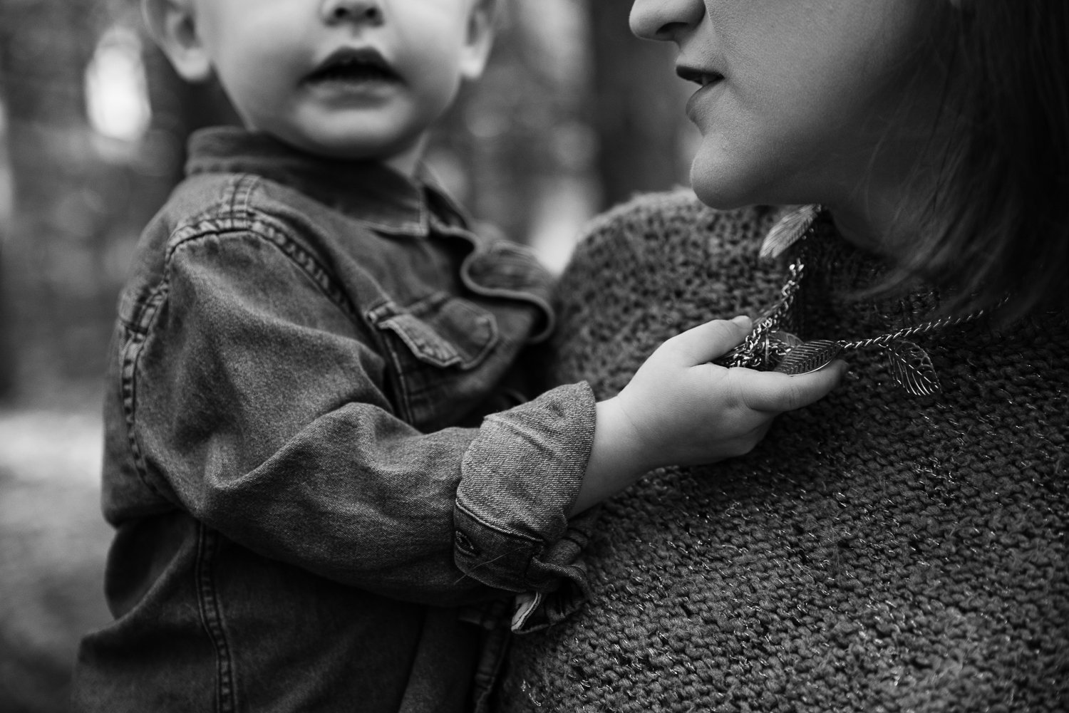 Hollis NH Family Photographer | Lynnae Day Photography