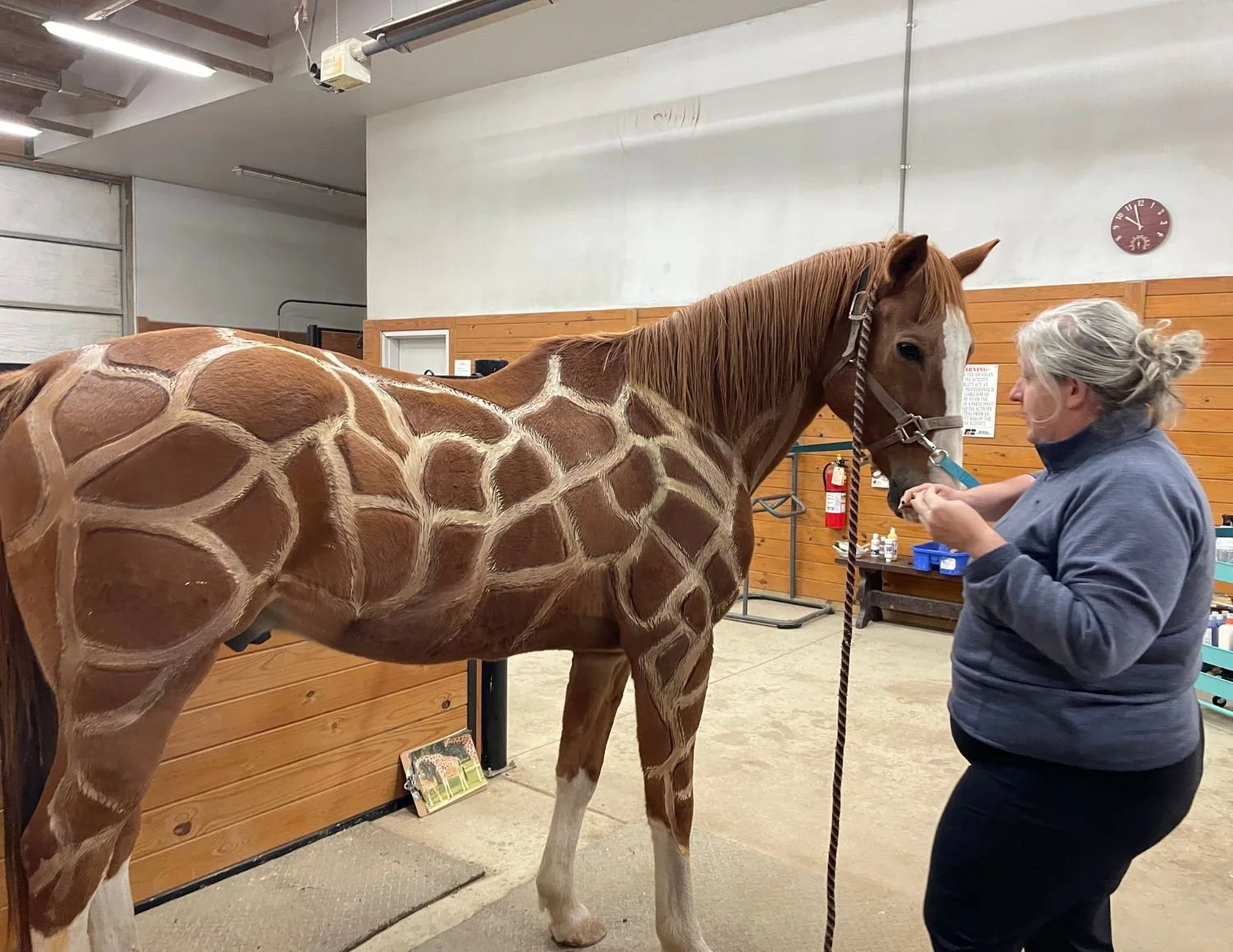 Therapeutic Riding, Inc.
