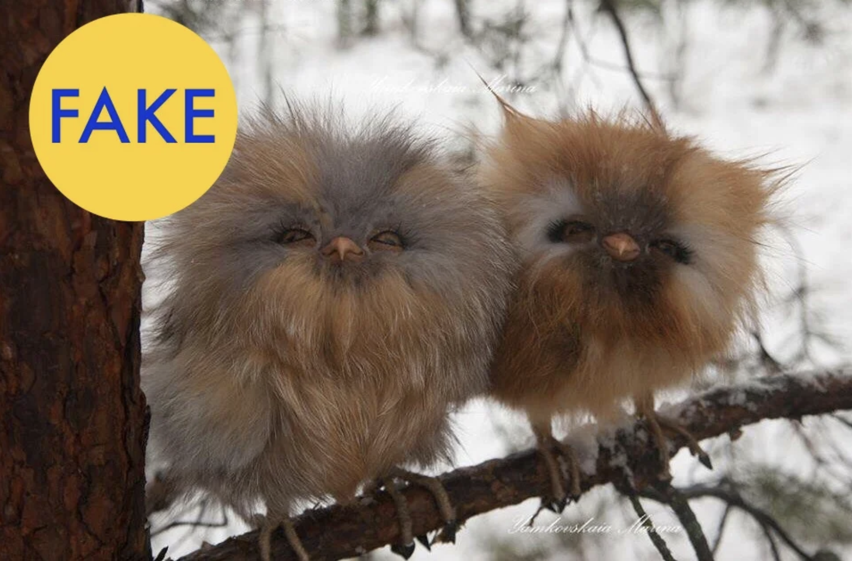 9 More Viral Photos That Are Totally Fake — Paleofuture